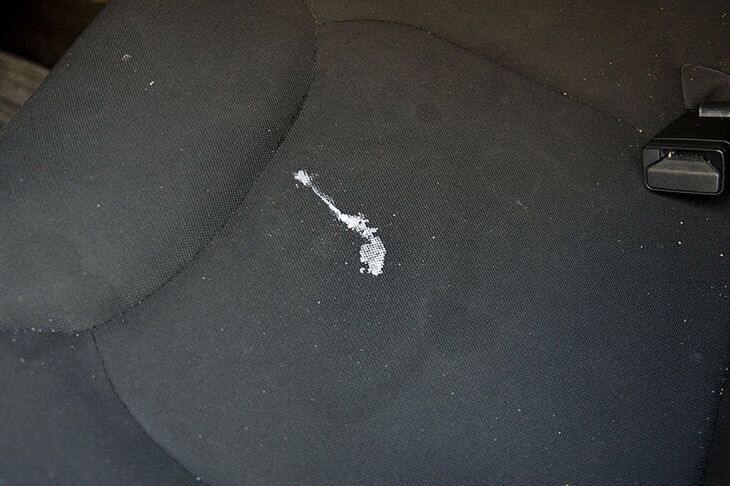 Milch Im Auto Ausgelaufen